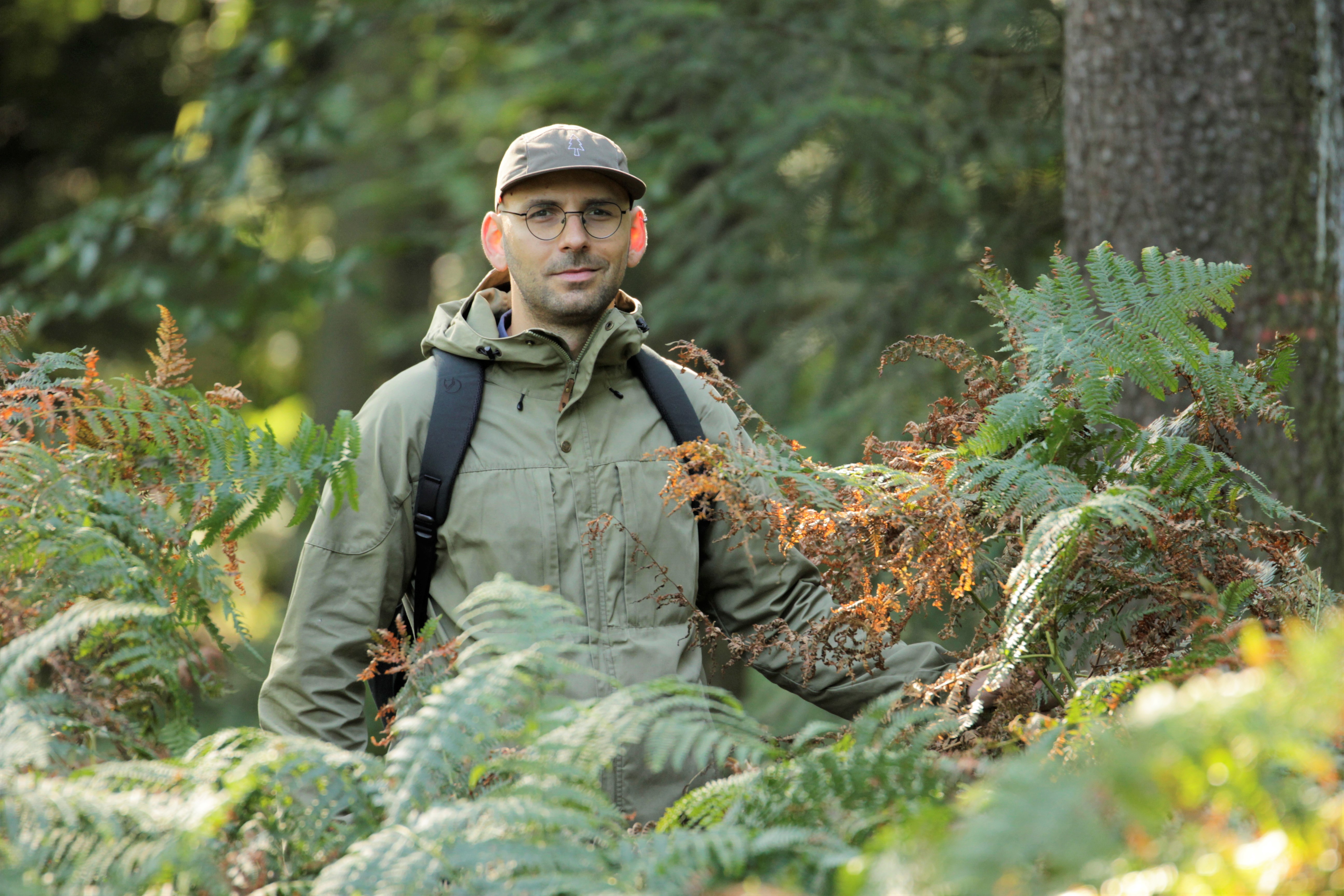 Der Forstillustrator | Alex Giurca | Bioökonomie.de