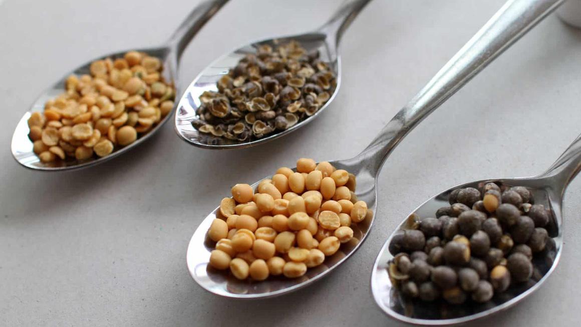 Neues Wissensportal zum Anbau von Leguminosen