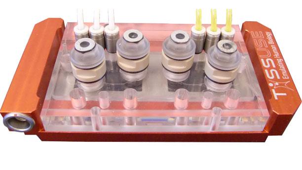 Berliner Multi-Organ-Chip im Testbetrieb